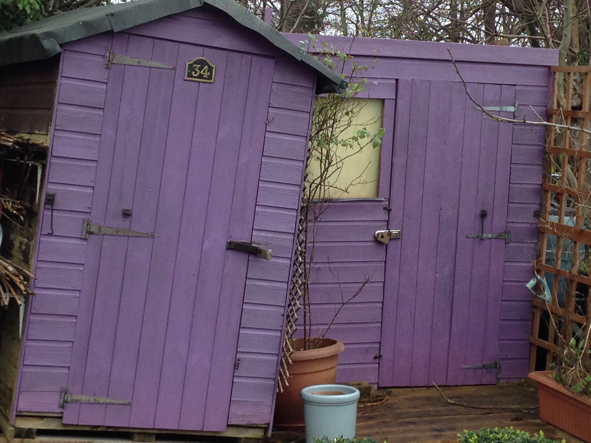 Purple Garden Shed