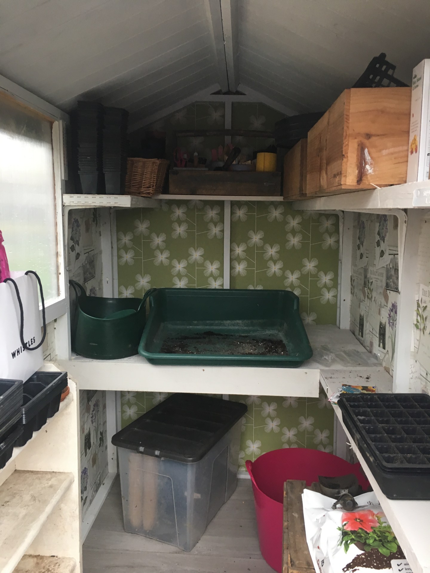 Purple shed becomes potting shed – Allotment Life