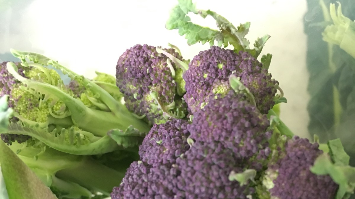 First PSB – Allotment Life