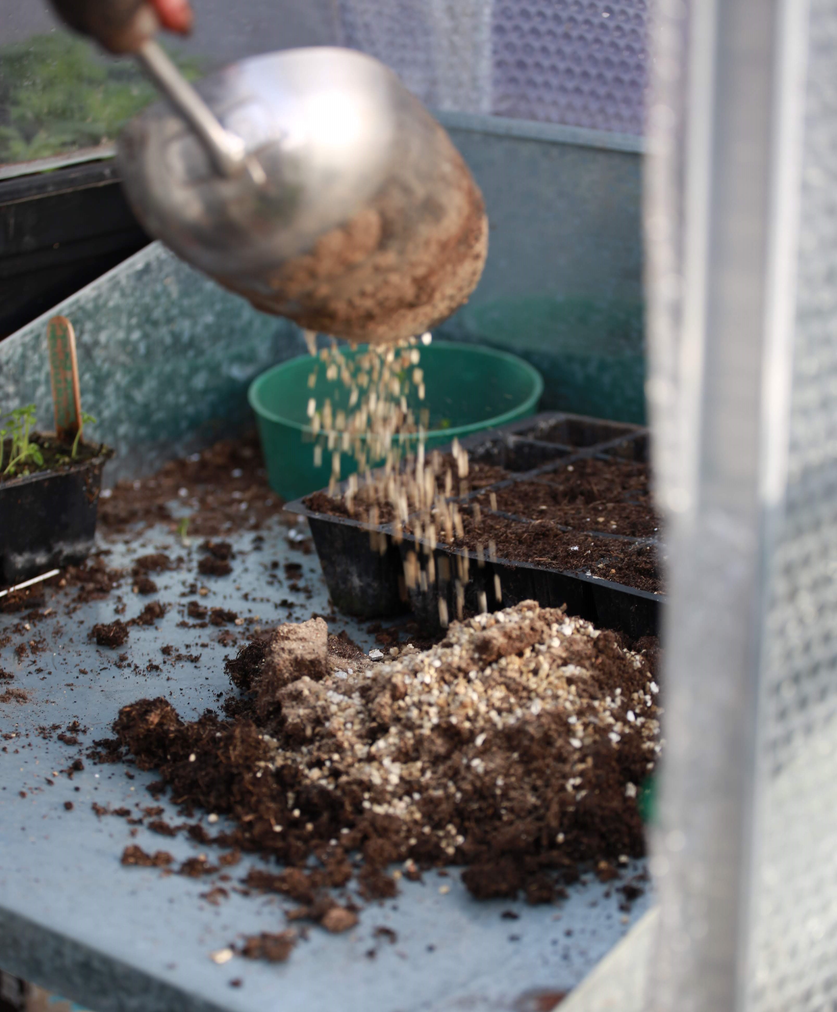 compost mix – Allotment Life